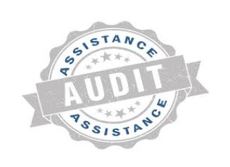Audit Assistance – L N P & Associates